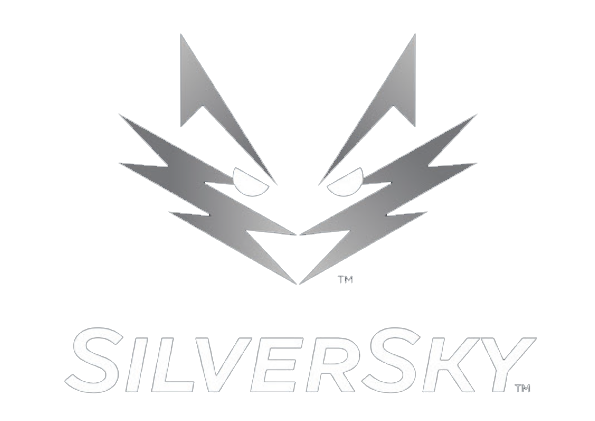 Managed Security Services powered by SilverSky DC Consulting